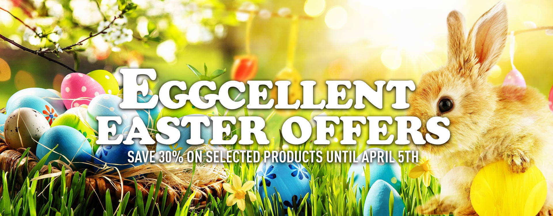Eggcellent Easter Offers - TORQ Ltd